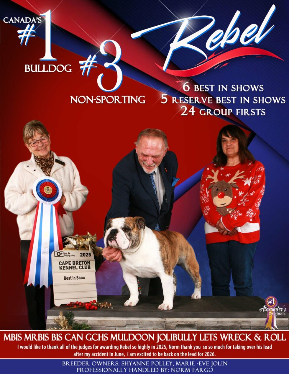 Bulldog Club of Canada