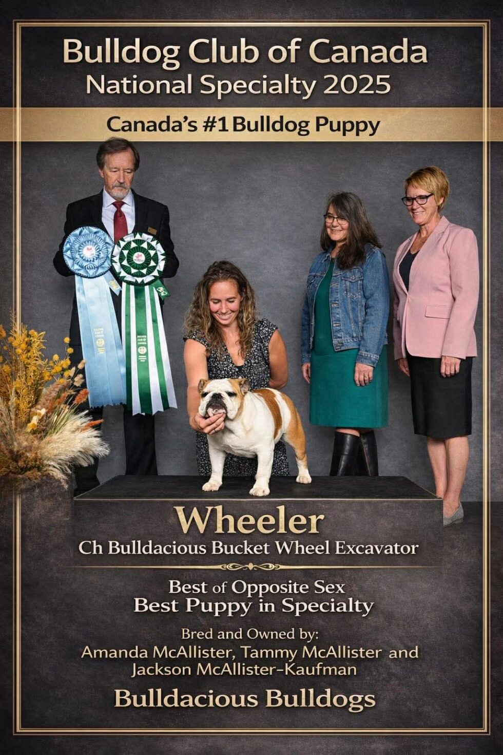 Bulldog Club of Canada